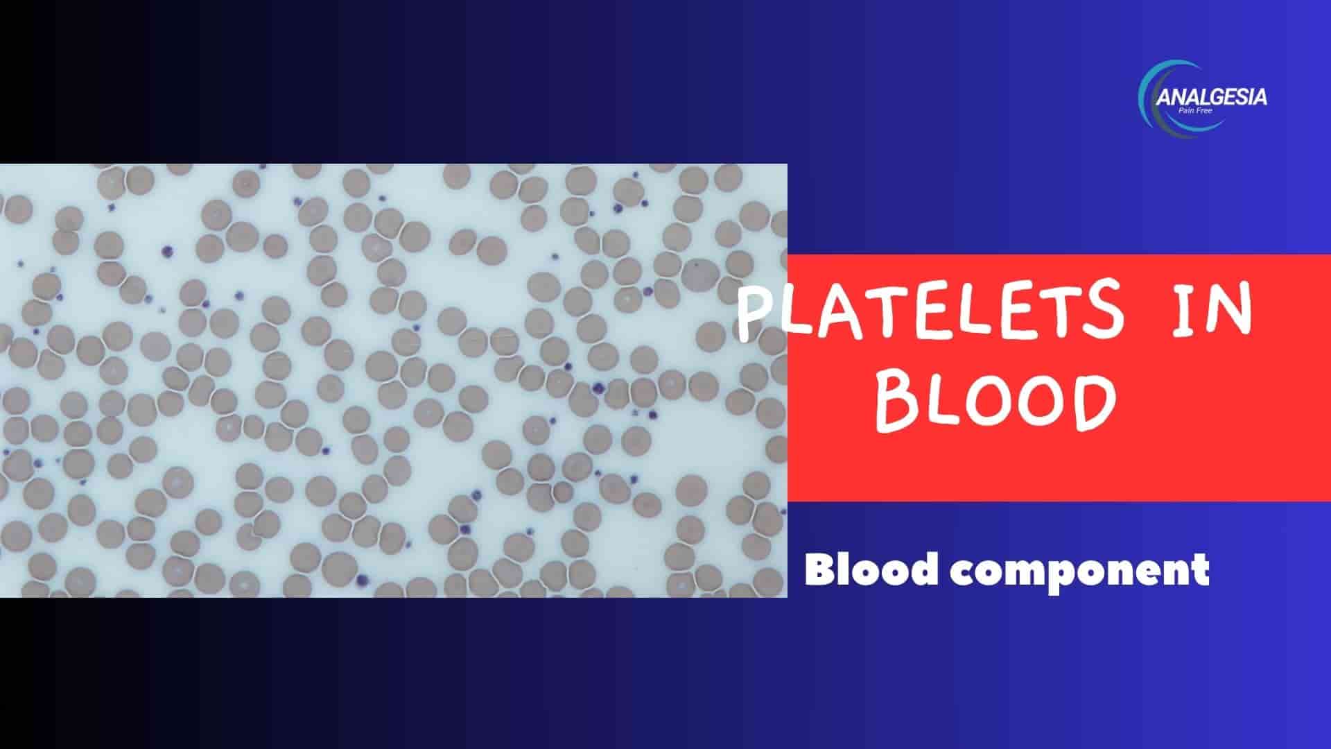 Platelets In Blood Function - Analgesia