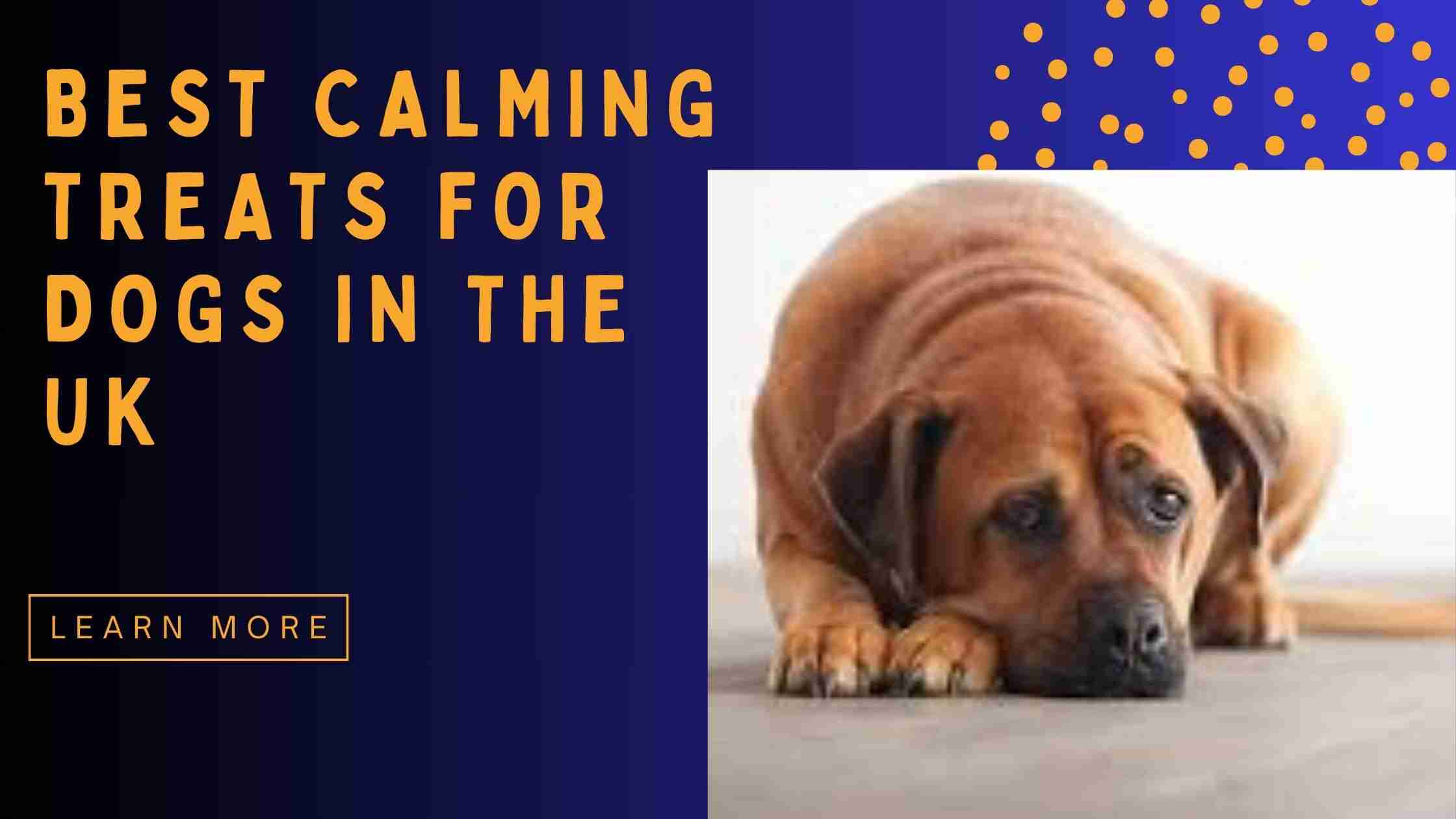 Best Calming Treats for Dogs in the UK - Analgesia