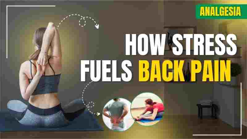 Lower Back Pain & Stress— How Your Mind Literally Fuels The Ache