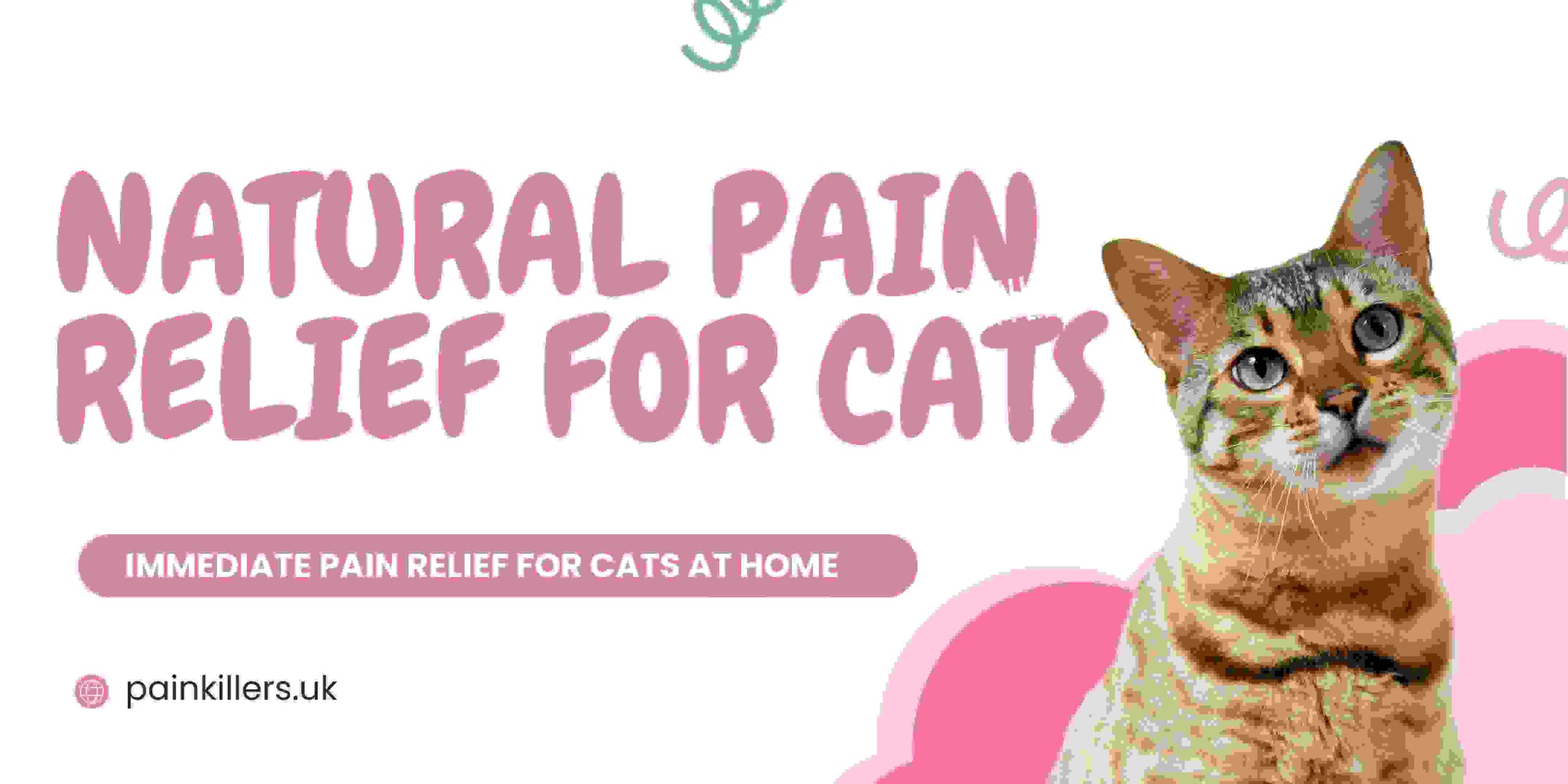 Natural Pain Relief for Cats (UK Edition) - Analgesia